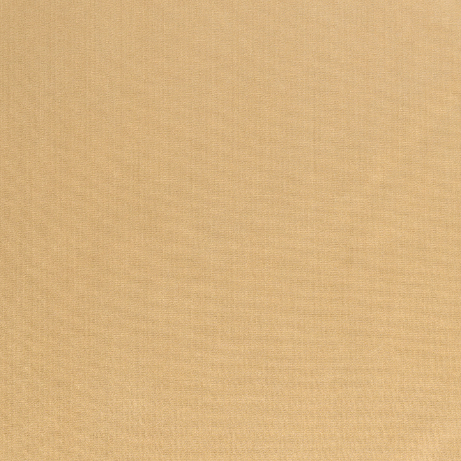 Splendor-Amber - Fabrics - Mitchell Fabrics